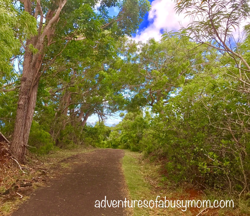 Hiking Tripler Ridge – Adventures of a Busy Mom