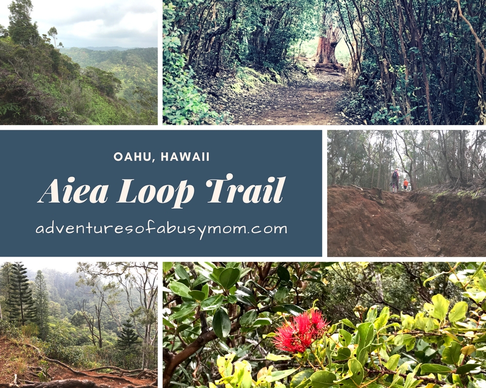 Finding Solace: Aiea Loop Trail (Oahu, Hawaii) – Adventures of a Busy Mom
