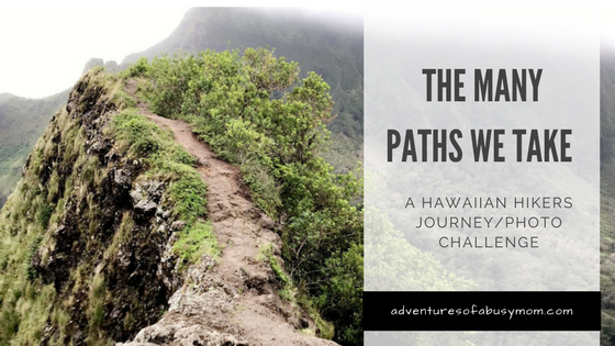 The Many Paths We Take (A Hawaiian Hikers Journey/Photo Challenge ...